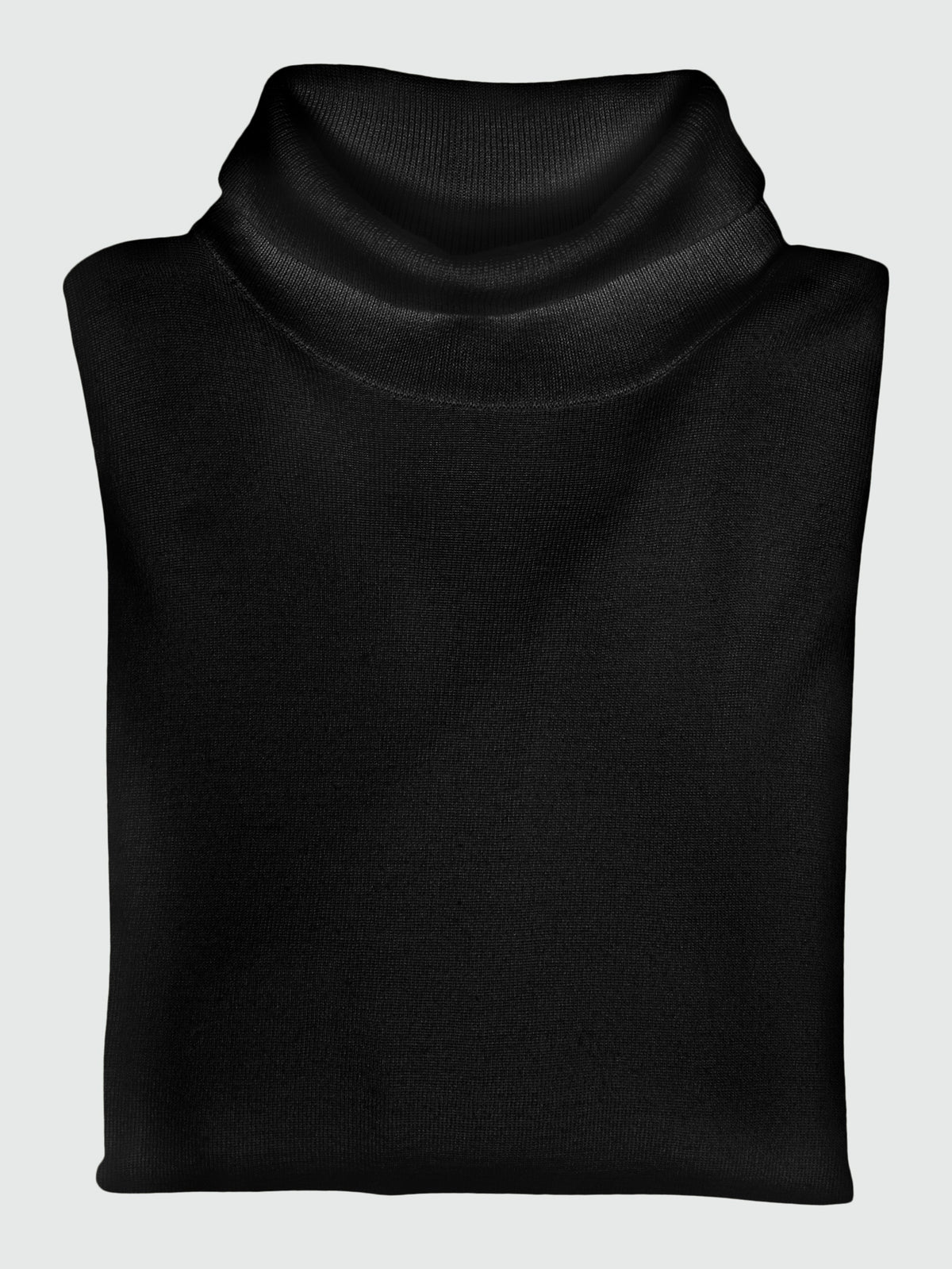 Petroleum Studio - Roll Neck | petroleum-studio